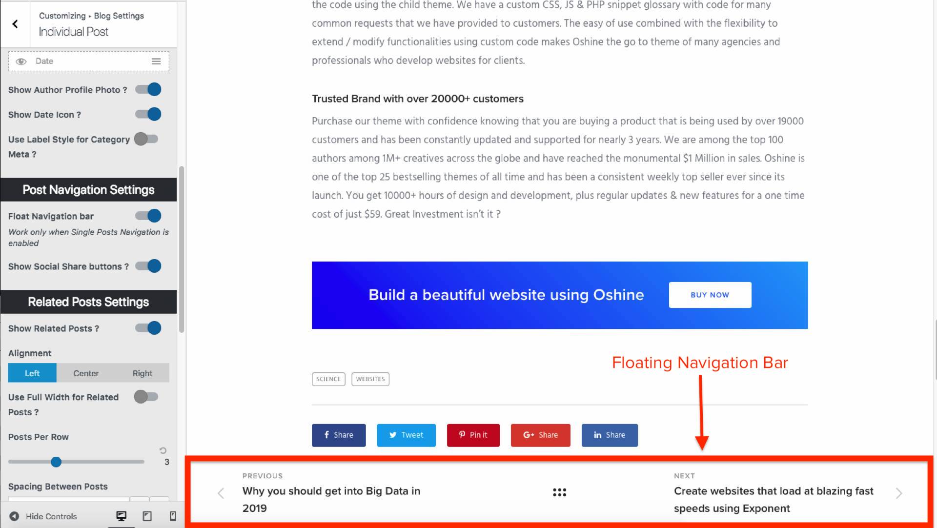 Individual Post Settings – Spyro Theme Documentation